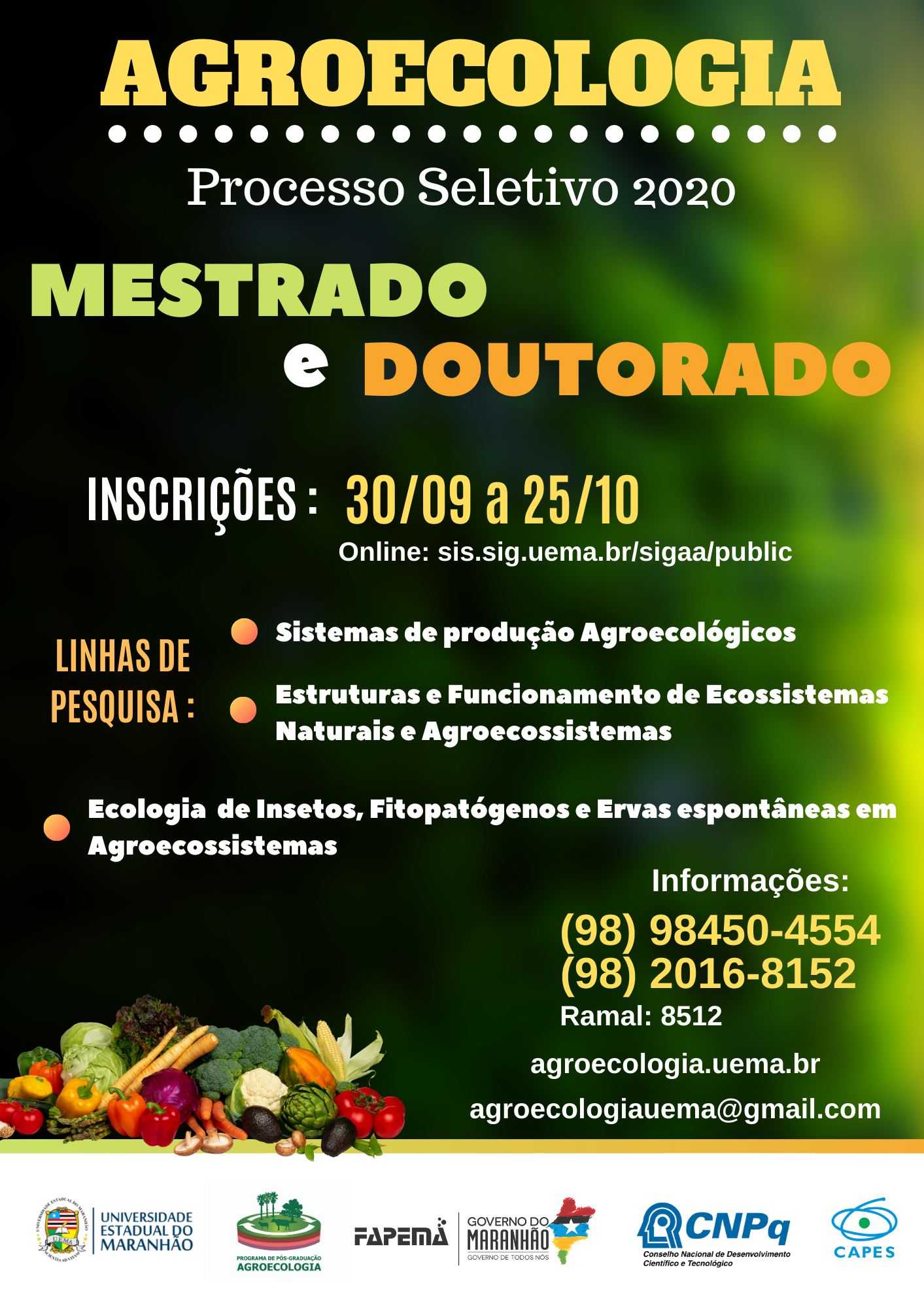 UEMA | Continuam abertas as inscrições para Mestrado e Doutorado em ... UEMA | Continuam abertas as inscrições para Mestrado e Doutorado em ...